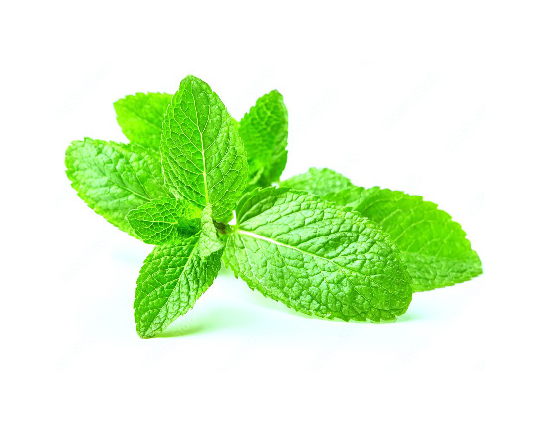 Mint (Pudina) - Farm Greens